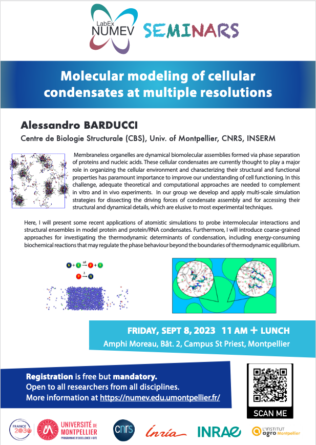 NUMEV Seminar #13 : « Molecular modeling of cellular condensates at ...